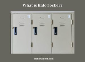 Can-Am Defender with Halo Locker? - Lock or Unlock
